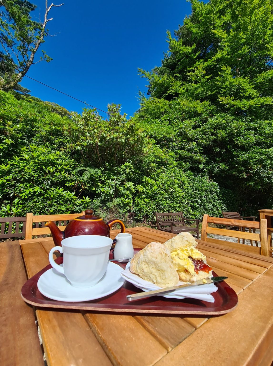 Best Afternoon Tea Dorset Has To Offer 2026